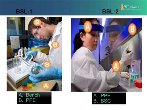 Dr Essam Atwan On Linkedin Fire And Life Safety Design Standards For Governmental Veterinary…