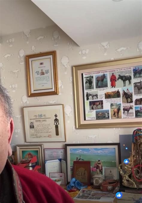 Тэр нь нэг тийм юмдаа гэж хэлэх юмгүй сайхан мал🐎🏅 Улс халзан Азарга🇲🇳