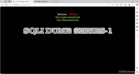 靶场——sql注入 sql注入靶场 csdn博客