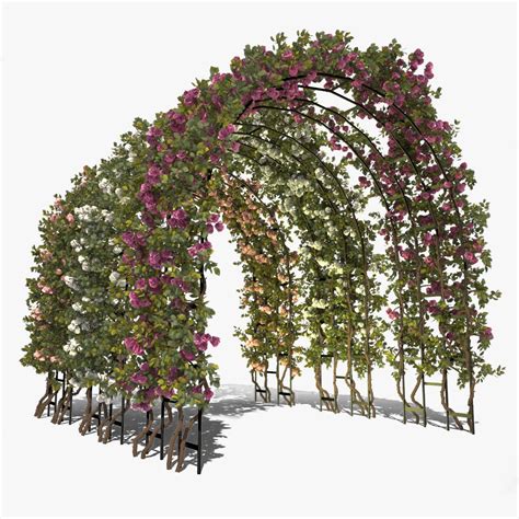 Rose Arch Trellis 3d Model 59 Max Fbx Obj Free3d