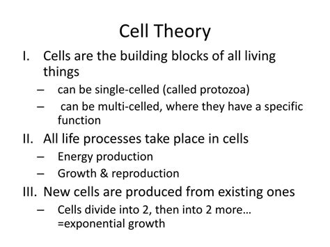 PPT Cell Structure Notes Study Guide PowerPoint Presentation Free Download ID