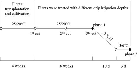 Schematic Diagram Of The Experimental And Sampling Process Download Scientific Diagram