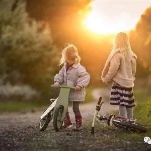 bug中文 bug是什么意思