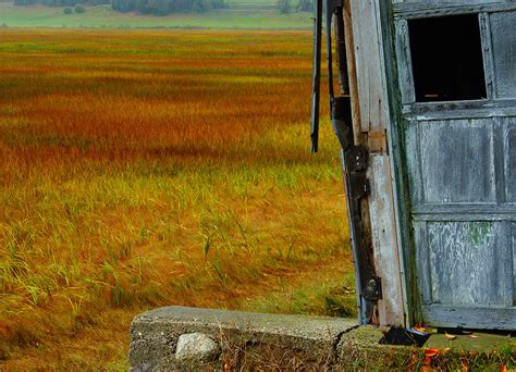 Salt Marsh Photograph By Charles Koelsch Fine Art America
