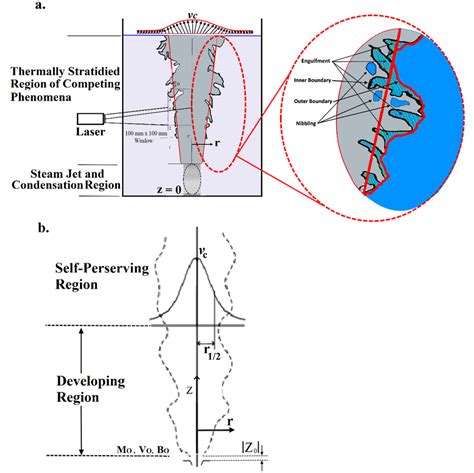A A Schematic Of Overall Steam Jet And Its Single Phase Plume