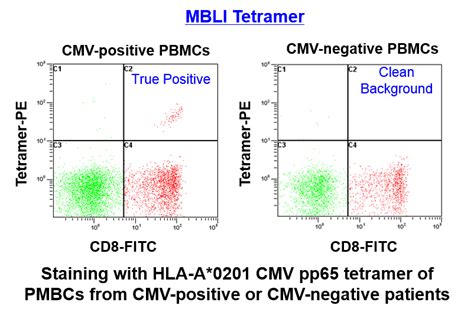 Dont Be Fooled Not All Tetramers Are Created Equal