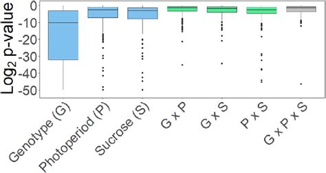Box Plots Of The P Values From Three Way ANOVA Performed For The Whole Download Scientific