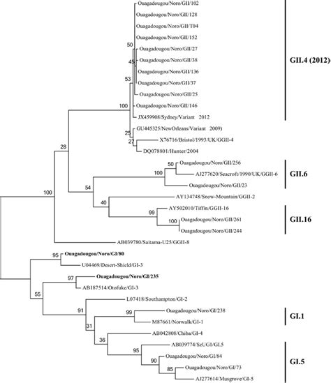 Phylogenetic Analysis Based On The Partial Nucleotide Sequences 302 Download Scientific
