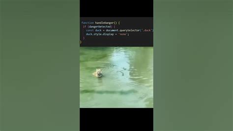 Can We Appreciate The Tigers Reaction 😂😂😂 Coding Programming Codingmeme Programmingmeme