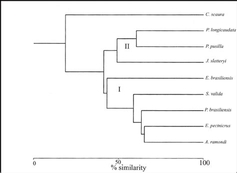 Similarity Dendrogram Of Densities Of The 9 Selected Species
