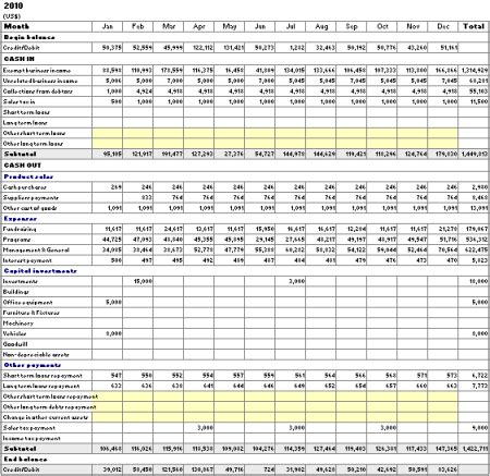 Non Profit Financial Models