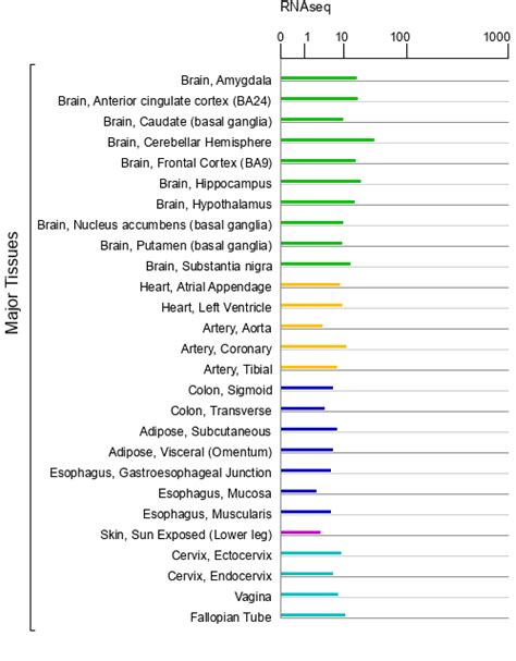 Dab1 Gene Genecards Dab1 Protein Dab1 Antibody
