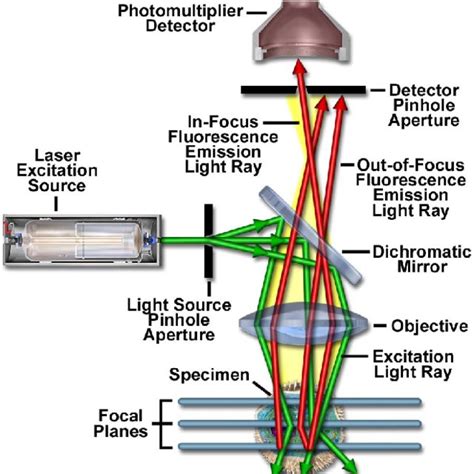Schematic Diagram Of An Airy Disk Diffraction Pattern And The Download Scientific Diagram