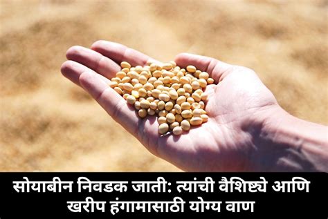 सोयाबीन निवडक जाती त्यांची वैशिष्ट्ये आणि खरीप हंगामासाठी योग्य वाण Ks Agrowon