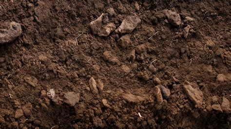 토탄 토양 질감 배경 토양 흙 배경 흙 질감 배경 일러스트 및 사진 무료 다운로드 Pngtree