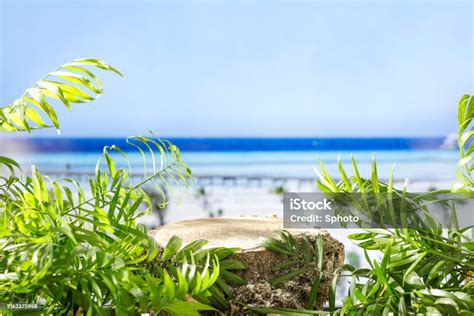 야자수와 바다 풍경이 있는 테이블로 나무 그루터기는 제품과 물건 및 액세서리를 위한 복사 공간이 있는 열대 해변에 있습니다 제품 디스플레이 몽타주 영감 0명에 대한 스톡