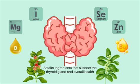 Actalin Uncovered Natural Thyroid Support Supplement Review
