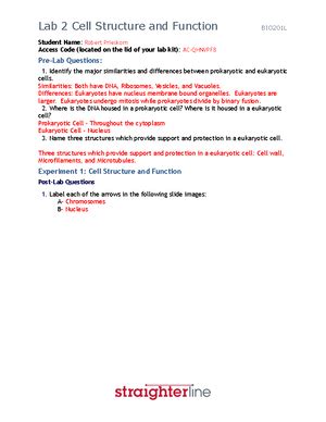 BIO Lab Exercise Answers BIO Anatomy And Physiology I D BELSER Lab