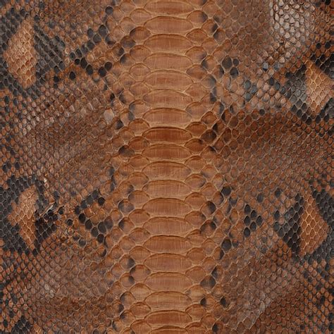 Couro De Cobra Acabado Curtido FC Python Reticulatus Tabaco