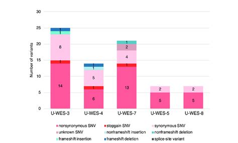 Somatic Mutations Identified In Coding Exons Of Five Patients In The