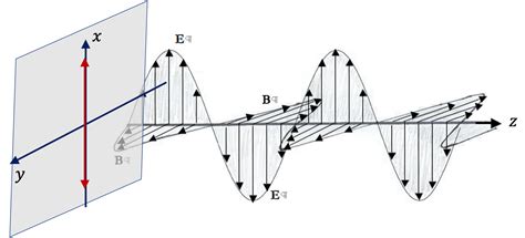 Polarization Of Light