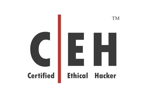 ethical hacking course in india institute of information security