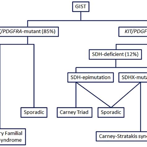 Molecular Alterations In Sporadic And Familial Gist Gists Are Download Scientific Diagram