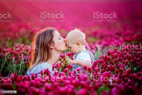 젊은 어머니 부드러움으로 포용 하 고 신경 그녀의 유아 아기 크림슨 클로버 필드에서 행복 하 게 웃 고 꽃 식물에 대한 스톡 사진 및 기타 이미지 Istock