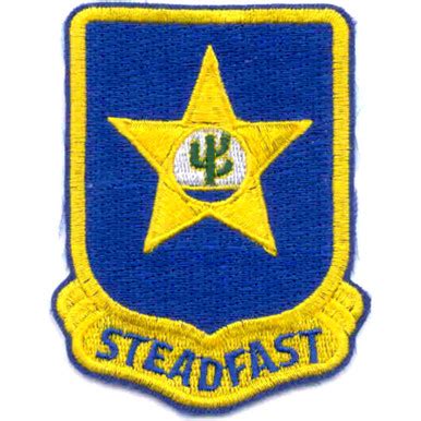 409th Infantry Regiment Patch Infantry Patches Army Patches