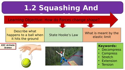 12 Squashing And Stretching Activate 1 Teaching Resources
