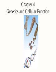 Chapter 4 Genetics And Cellular Function1 Chapter 4 Genetics And Cellular Function