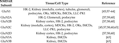 Synopsis Of The Expression Of Various Subunits Of The Nmdar In