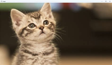 Python Opencvcv2の使い方を解説