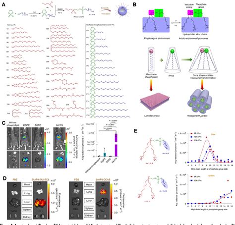 Figure 9 From Targeting Materials And Strategies For Rna Delivery Semantic Scholar