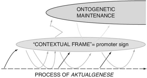 three layers model of interdependent levels of human development