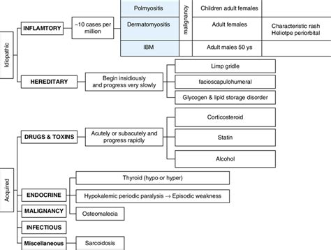 3 Differential Diagnosis Of Proximal Myopathy Download Scientific Diagram