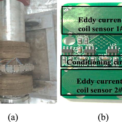 A The Detector Body B The Sensor Chip Download Scientific Diagram