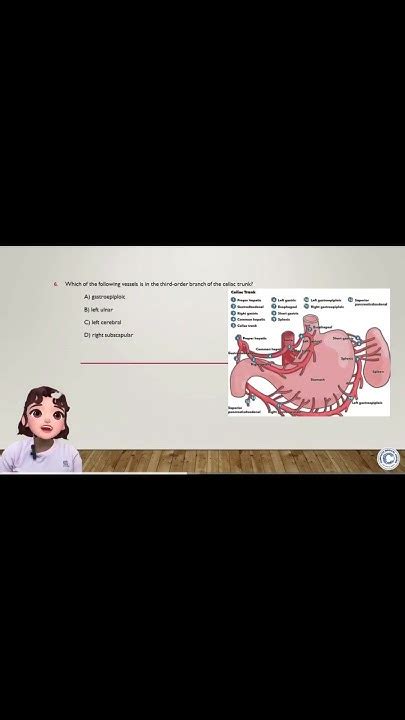 Medicalcodingcourse Anatomy Medicalbilling Codingcareer Cpc Youtube