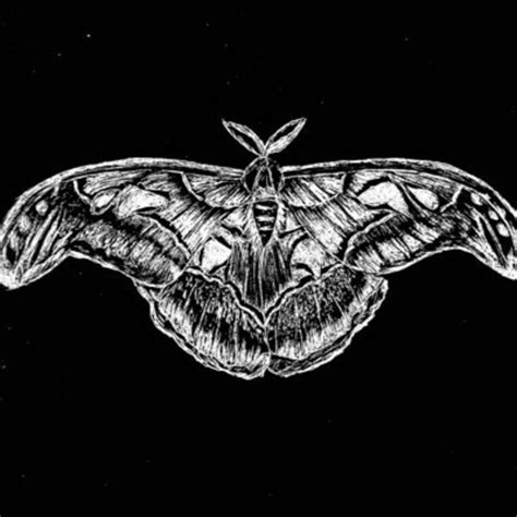 Sea Turtle Scratch Art Etsy