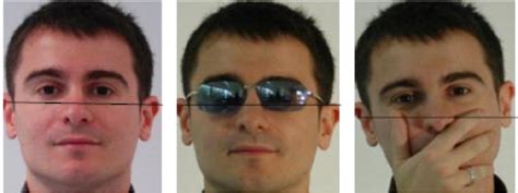 Figure 41 From Partially Occluded Face Image Recognition Semantic