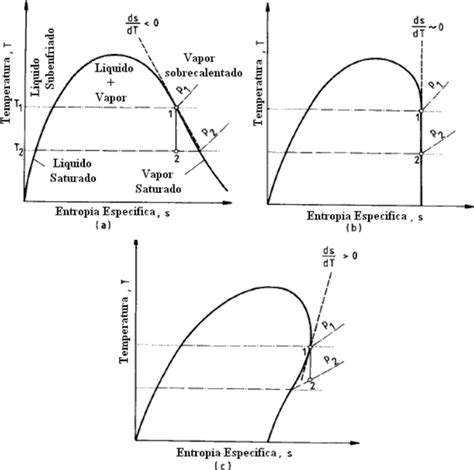 Figura 3 8 Diagrama T S Para Fluidos A Húmedos B Isoentrópicos Y