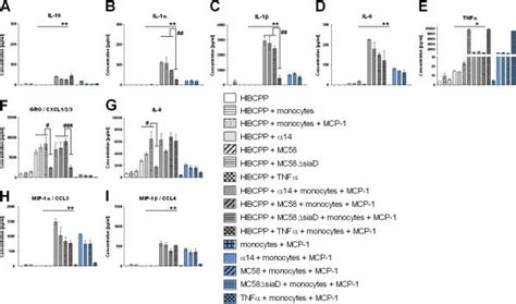 Cytokines And Chemokines Released During Monocyte Transmigration The Download Scientific