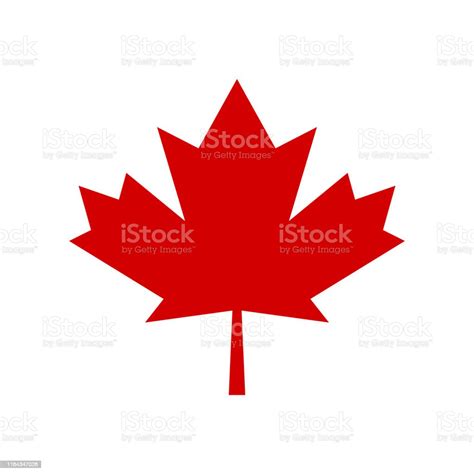 단풍 잎 벡터 아이콘입니다 단풍 잎 벡터 그림입니다 캐나다 벡터 기호 단풍 나무 잎 클립 아트입니다 빨간 단풍 나무 잎입니다 Canada Day에 대한 스톡 벡터 아트 및