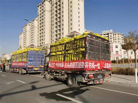情暖疫线中国供销石油携手包头供销社紧急采购6万斤蔬菜捐赠抗疫一线 企业动态 中国农业生产资料集团公司