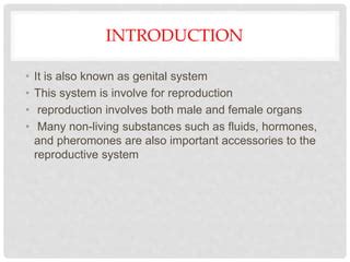 Reproductive System CPT Coding PPTX Infertility Reproductive Health