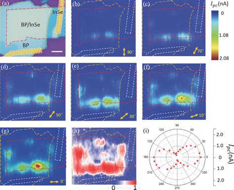 A Optical Microscope Image Of The Device The Scale Bar Is 2 µm B G Download Scientific