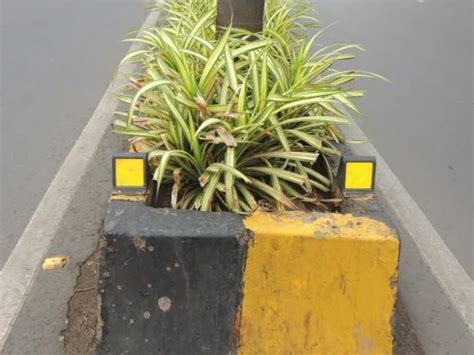 Median Marker Flexible Median Marker Authorized Wholesale Dealer From Vasai