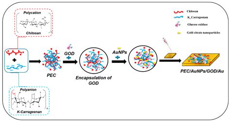 Sensors Free Full Text Highly Sensitive Voltammetric Glucose Biosensor Based On Glucose