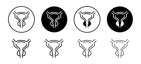 Prostate Icon Set Collection Prostate Outline Flat Icon 47482854 Vector Art At Vecteezy
