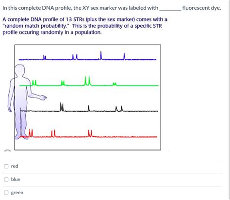 Solved DNA Profiles Are Constructed From DNA Sequences That Chegg Com